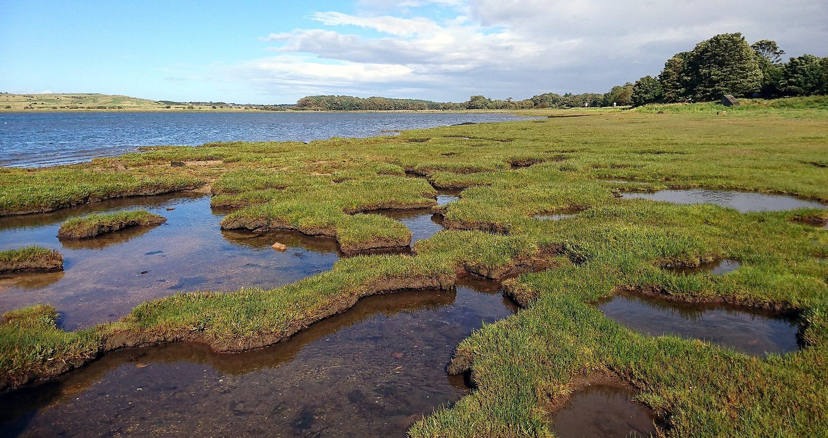 Coastline Clean-Up - Scottish Seabird Centre