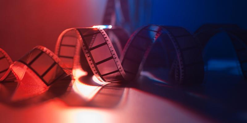 Festive Family Film - Nativity! - Scottish Seabird Centre