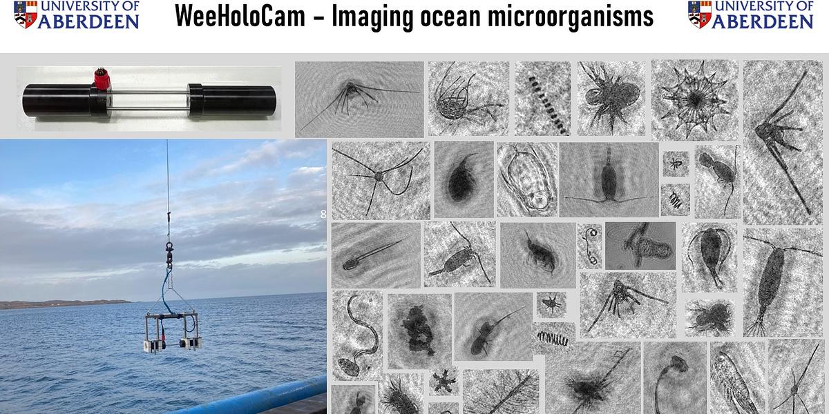 Scottish Seabird Centre