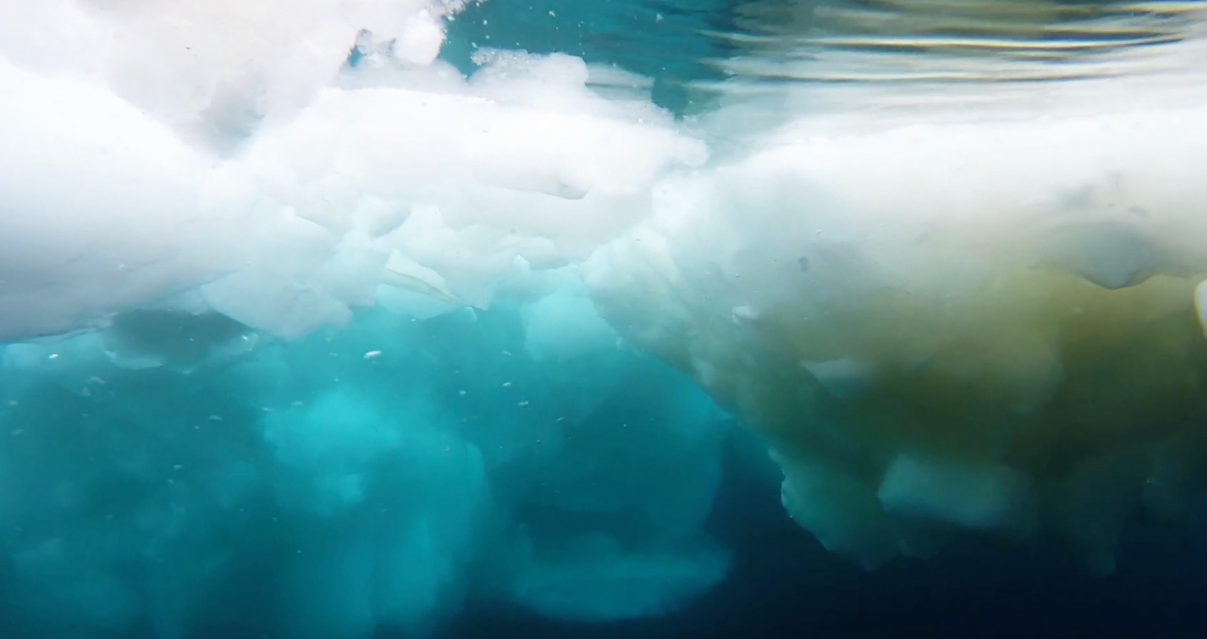 Mapping Ocean Change - Scottish Seabird Centre