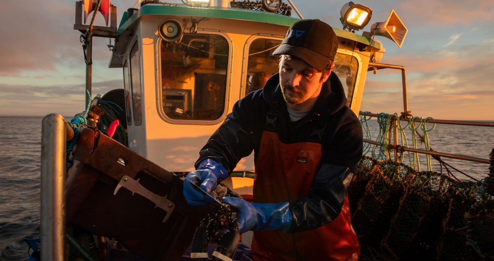 Inshore fisheries – a sustainable future - Scottish Seabird Centre