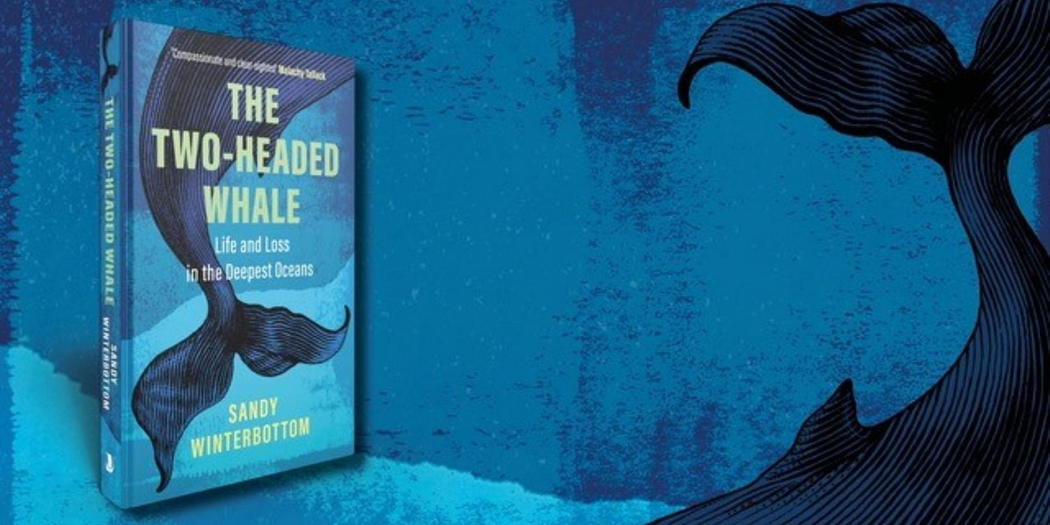 Marine Fest - Sandy Winterbottom: The Two-Headed Whale - Scottish ...