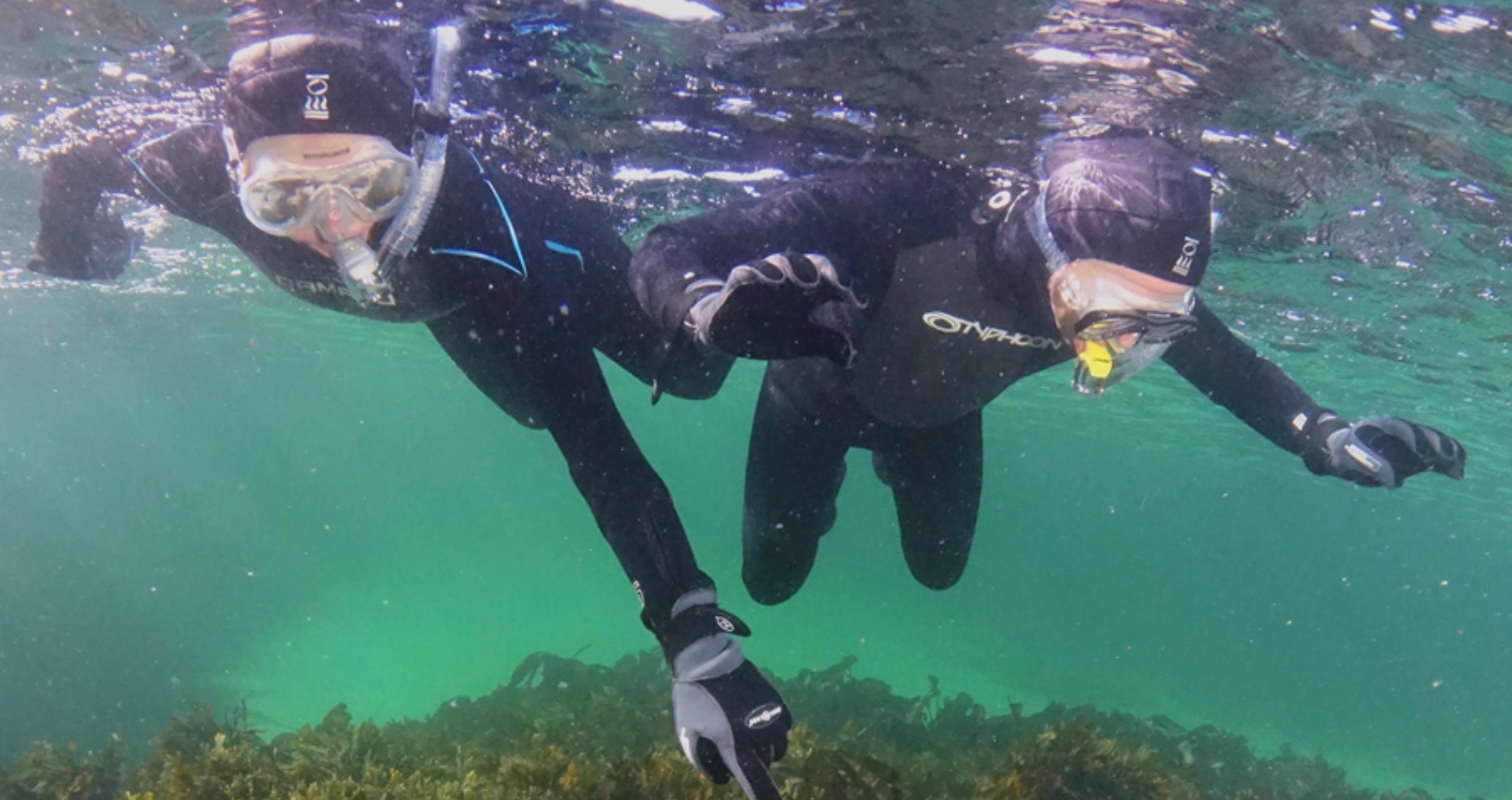 Marine Fest - Guided Snorkel Trail - Scottish Seabird Centre