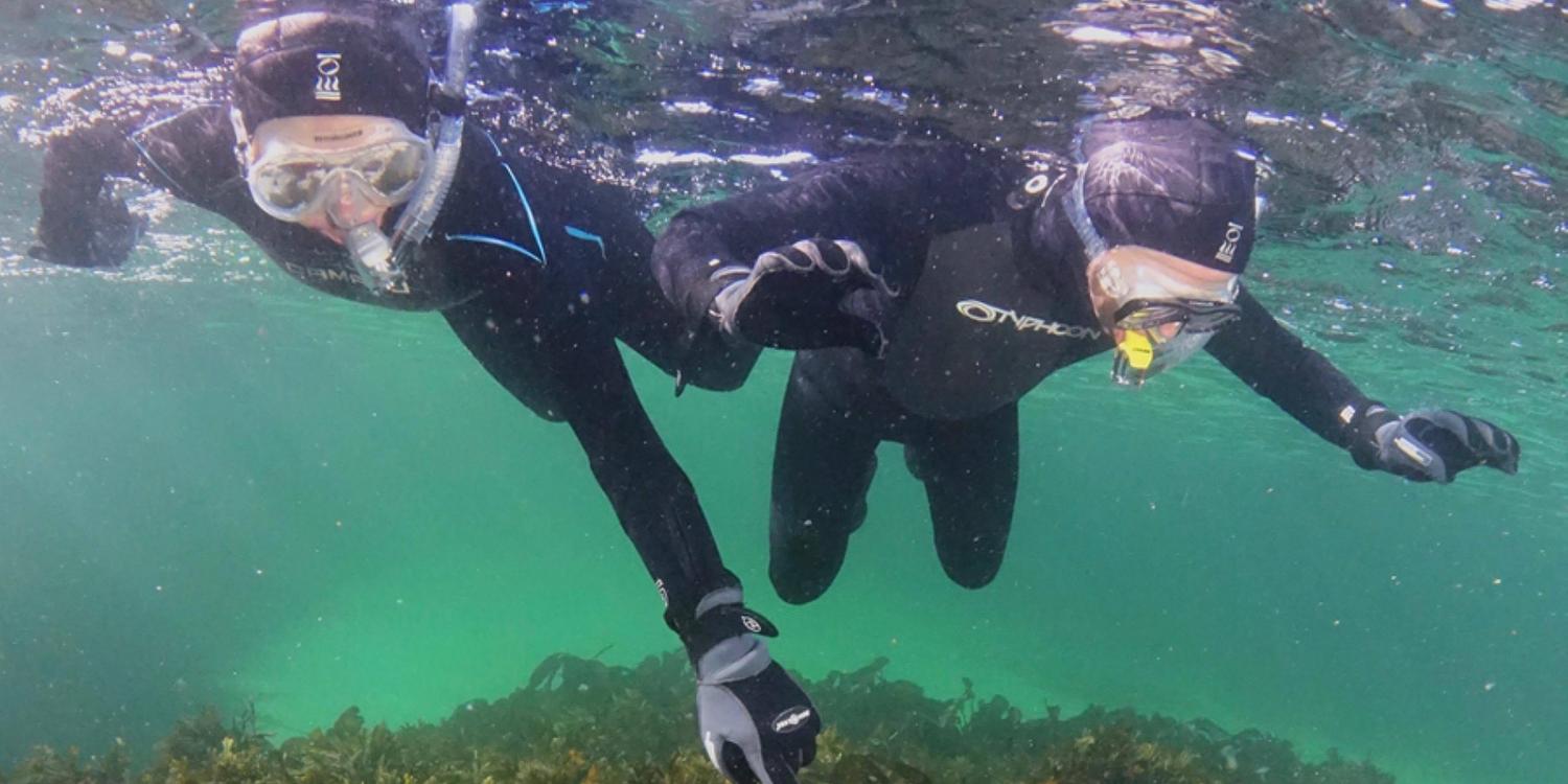 Snorkel Trails - Scottish Seabird Centre