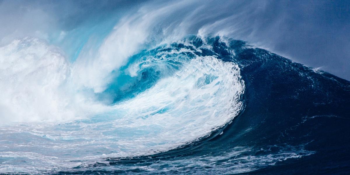 Marine Fest - Meet the Scientist with Colin Moffat: The Future of our ...