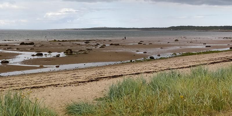 East Lothian Coastal Cleanup: Seton Sands - Scottish Seabird Centre
