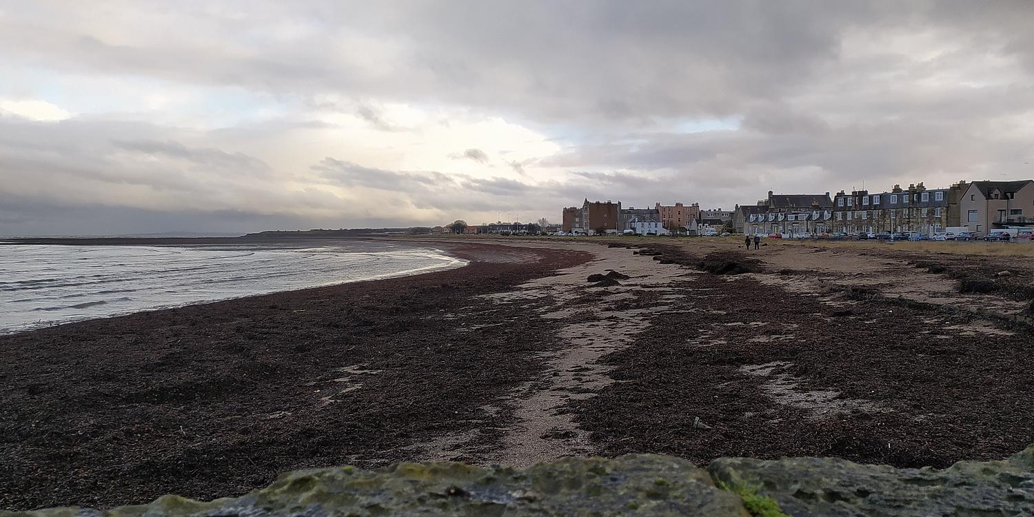Day of Action – Fisherrow Sands Beach Clean - Scottish Seabird Centre