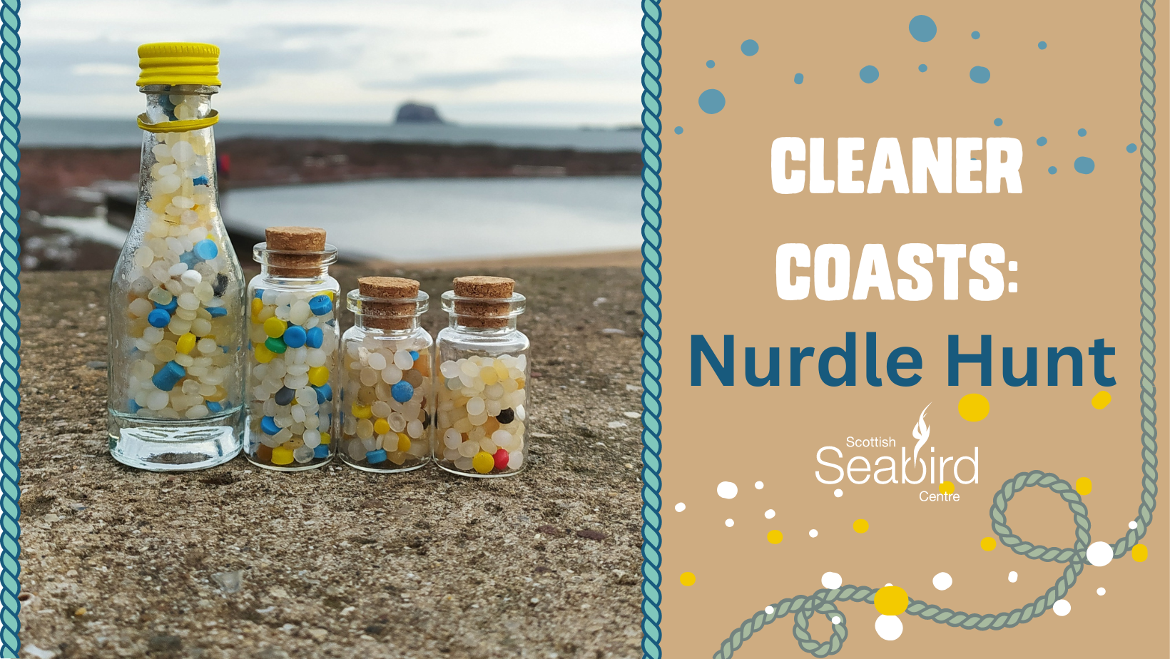 Cleaner Coasts: Nurdle Hunt - Scottish Seabird Centre