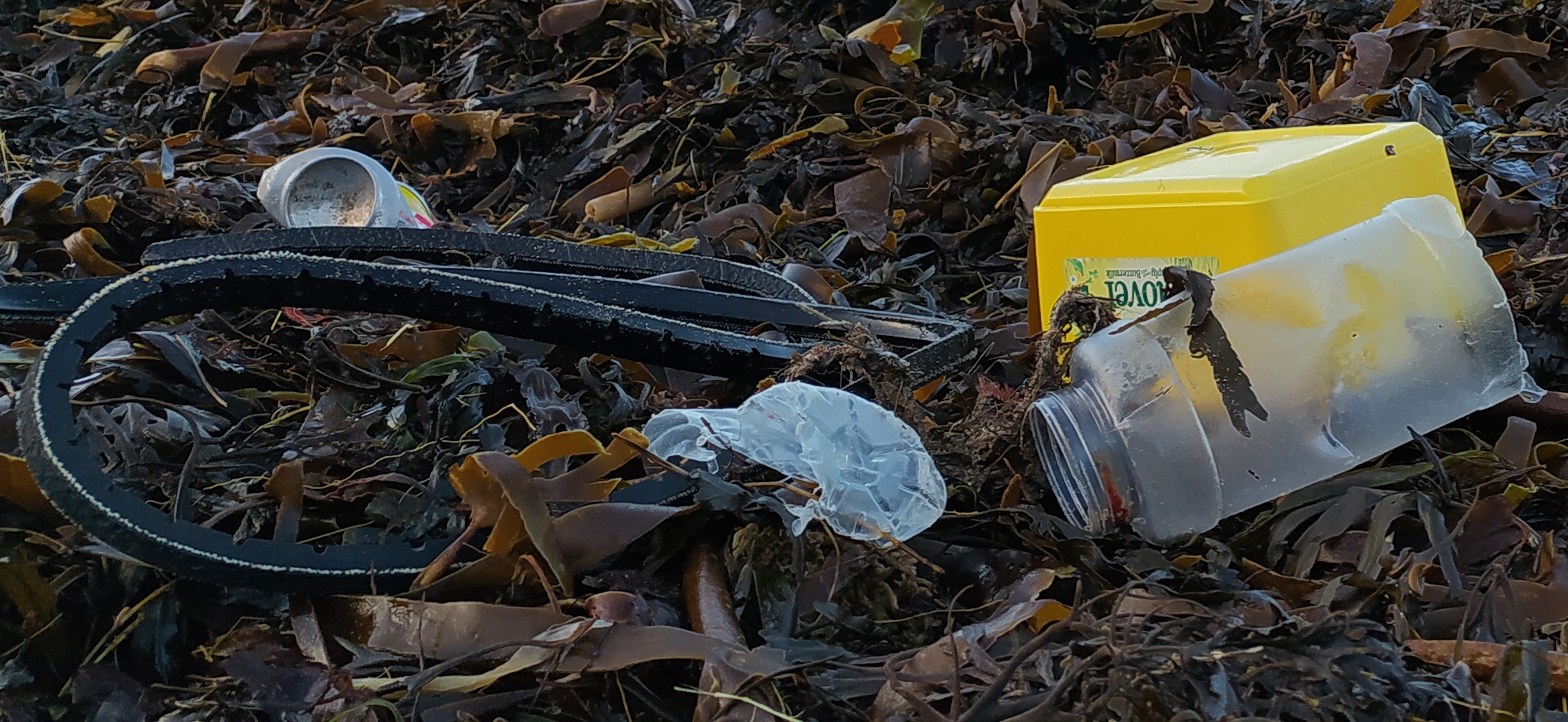 North Berwick Beach Clean: with The Scottish Coastal Cleanup - Scottish Seabird Centre