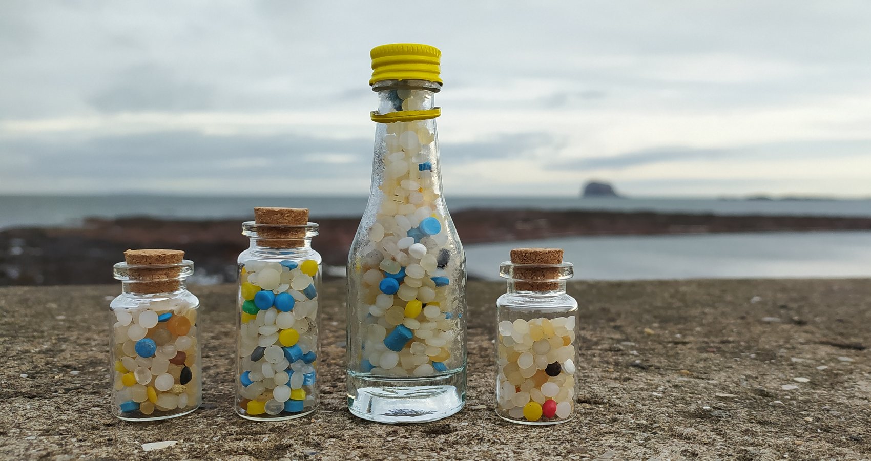 World Earth Day: Nurdle Hunt - Scottish Seabird Centre