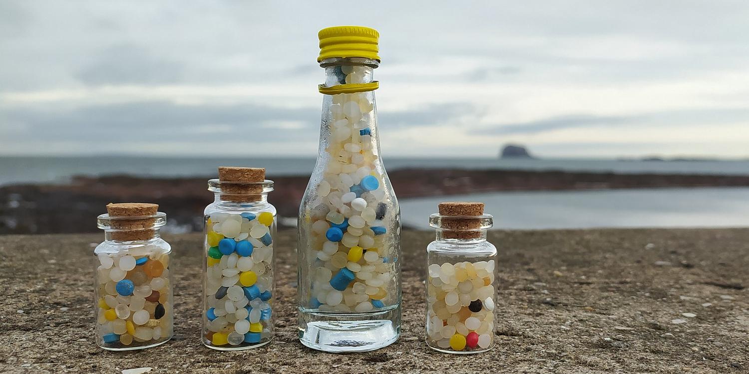 World Earth Day: Nurdle Hunt - Scottish Seabird Centre