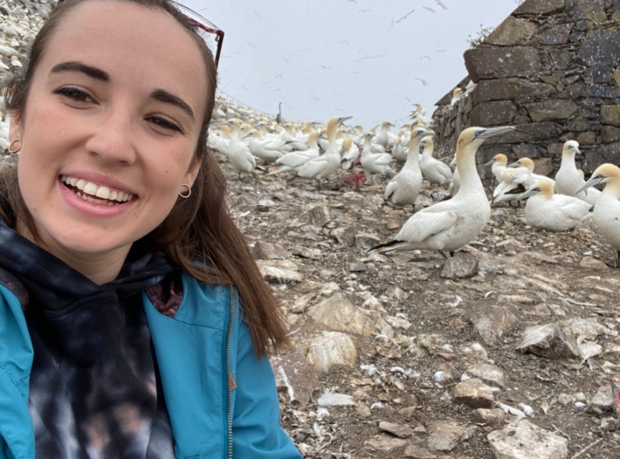 Marine Fest - Megan McCubbin's Marine Moments - Scottish Seabird Centre