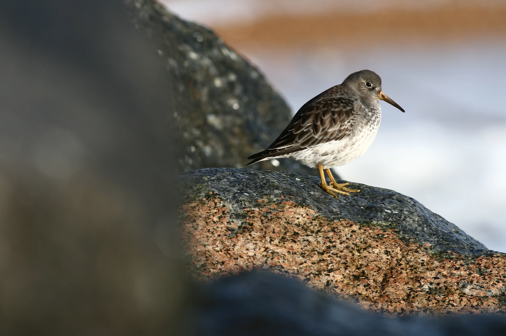 Coastal Photography Workshop with Paul Alistair Collins - Scottish ...