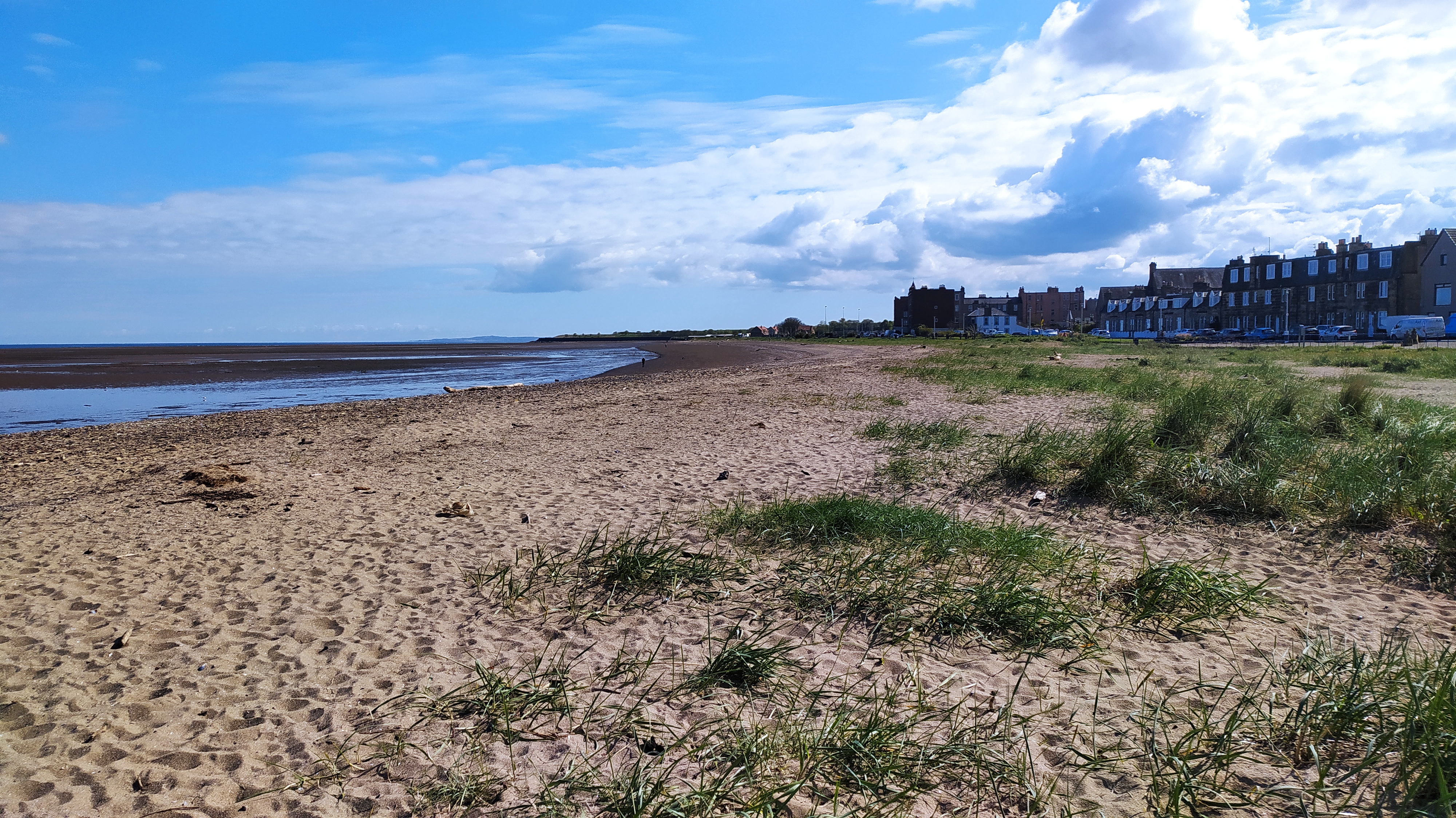 Fisherrow Sands Beach Clean - Scottish Seabird Centre