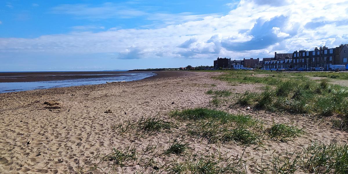 Fisherrow Sands Beach Clean - Scottish Seabird Centre