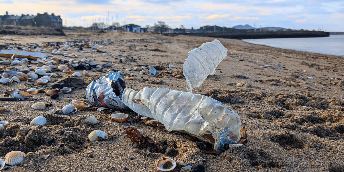 Fisherrow Fridays: Beach Cleans - Scottish Seabird Centre