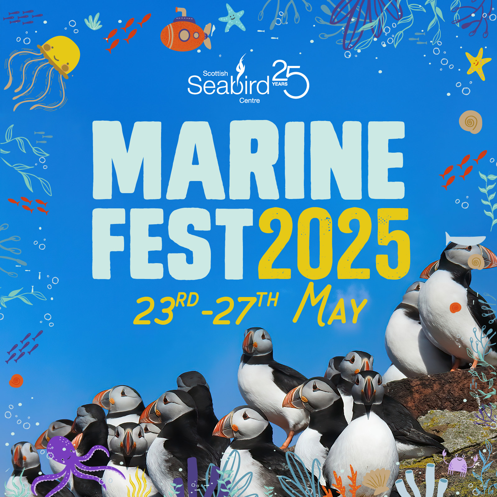 Celebrate Scotland's Seas with Us at Marine Fest 2025 - Scottish Seabird Centre