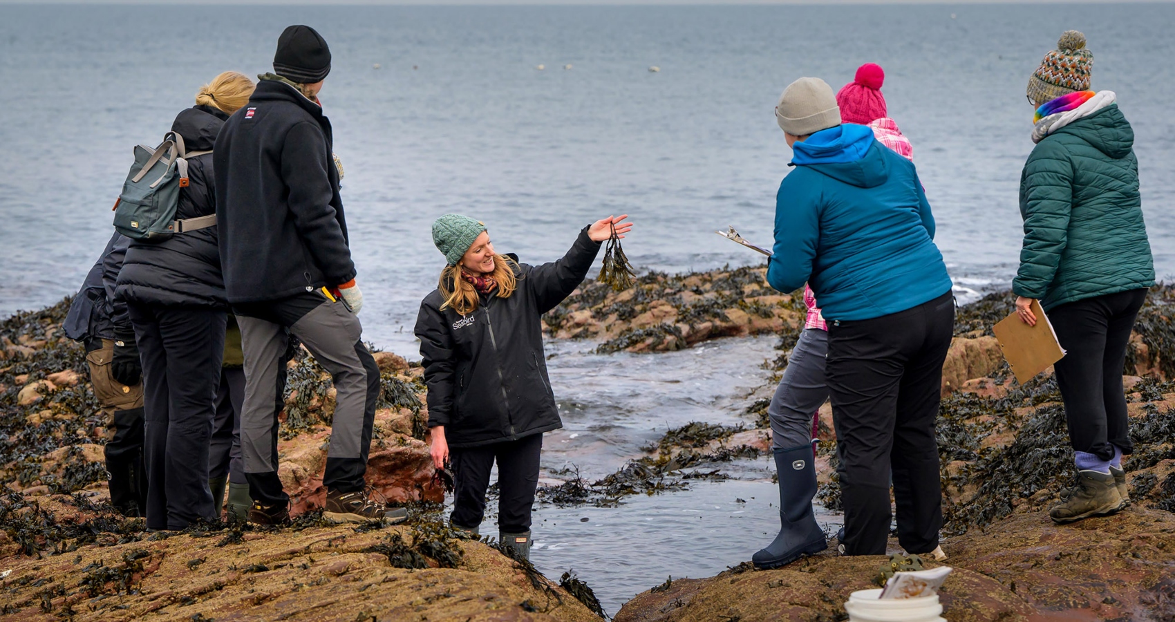 Introduction to Rocky Shore Ecology - Scottish Seabird Centre