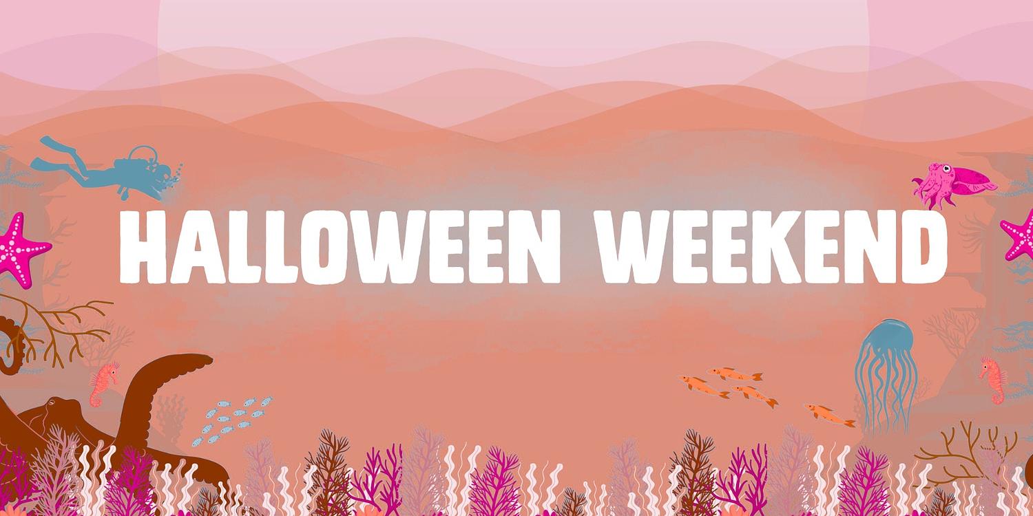 Halloween Weekend Events - Scottish Seabird Centre