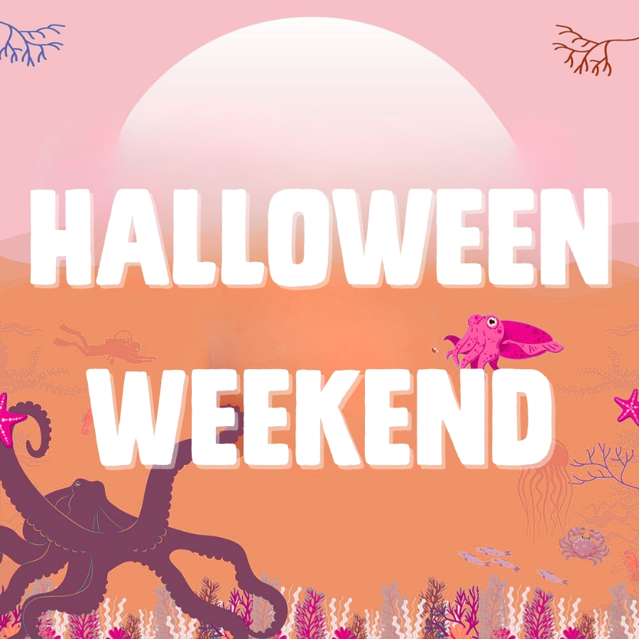 Halloween Weekend Events - Scottish Seabird Centre