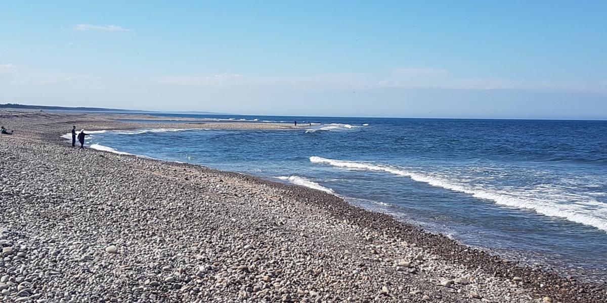 Shingle beaches - Scottish Seabird Centre