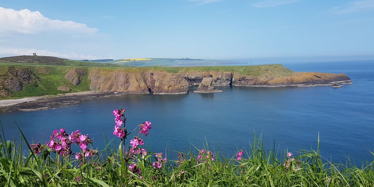 Coastal cliffs - Scottish Seabird Centre